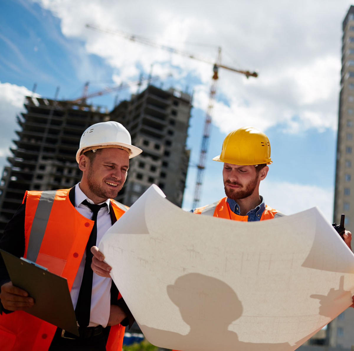 Alliance Development Group – ADG, es una empresa con visión global, que estructura el desarrollo ...